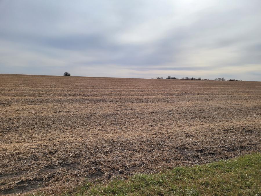 Dan Pike Auction Company & Land and Farm Services Unlimited