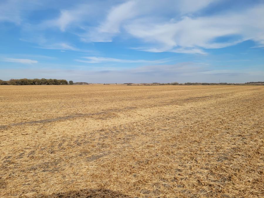 Dan Pike Auction Company & Land and Farm Services Unlimited